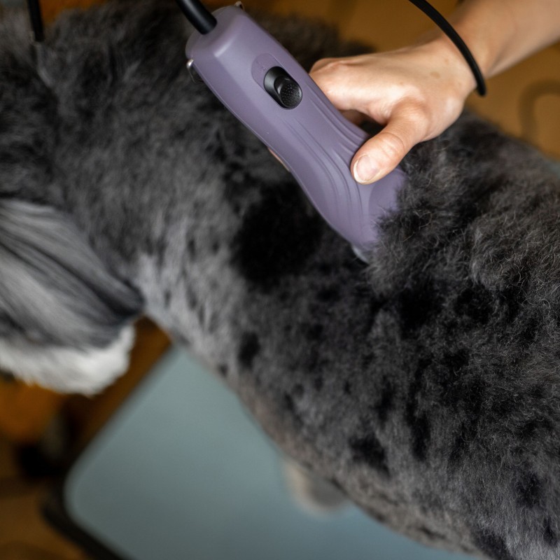 Wahl KM10+ klippmaskin – AkiShop